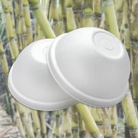 China 90mm Fake Dome Disposable Eco Friendly Natural Sugarcane Fiber Pulp Slide Open Cup Lids For Coffee Shop for sale
