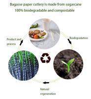 China 16cm Bagasse Biodegradable Disposable Utensils For Party Factory Wholesale for sale