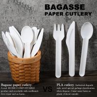 China 16cm Bagasse Biodegradable Disposable Utensils For Party Factory Wholesale for sale