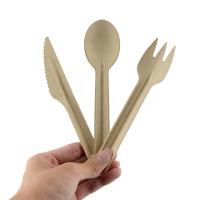 China Compostable Disposable Bagasse Paper Party Cutlery Set for sale