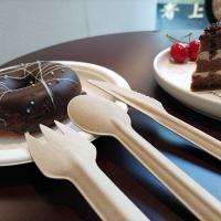 China Eco Friendly Bagasse Biodegradable Disposable Cutlery Sets For Baby for sale