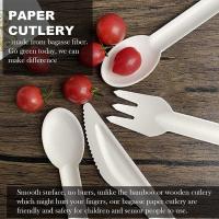China Biodegradable Compostable Bagasse Paper Disposable Cutlery for sale