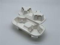 China Zero Plastic Compostable Sugarcane Bagasse 2 Cup Carrier for sale