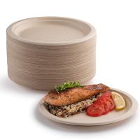 China 9 Inches White 100% Compostable Biodegradable Food Plate, For Food And Vegetables for sale