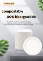 China 9 Inches White 100% Compostable Biodegradable Food Plate, For Food And Vegetables for sale