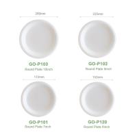 China 9 Inches White 100% Compostable Biodegradable Food Plate, For Food And Vegetables for sale