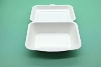 China Disposable Paper Bagasse Food Box , 7*5 Inch Square Plate , For Take Away Fast Food for sale