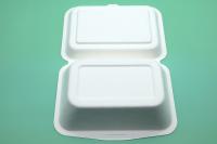 China Disposable Paper Bagasse Food Box , 7*5 Inch Square Plate , For Take Away Fast Food for sale