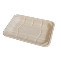 China Disposable Paper Bagasse Food Dish , 8*6 Inch Square Plate For Take Away Fast Food for sale
