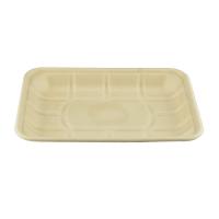 China 100% Biodegradable Disposable Sugarcane Bagasse Compostable Pulp Food Tray 8*6inch for sale