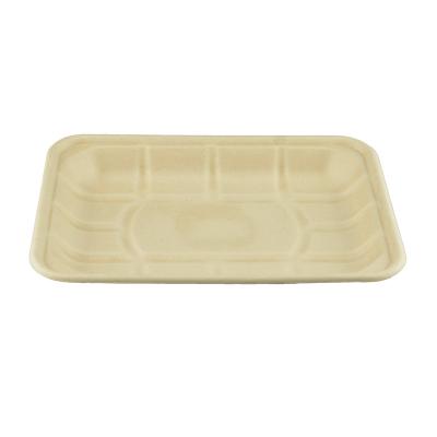 China 100% Biodegradable Disposable Sugarcane Bagasse Compostable Pulp Food Tray 8*6inch for sale