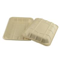 China Sugarcane Bagasse Compostable Paper Food Tray 8*6inch  eco-friendly 100% biodegradable for sale