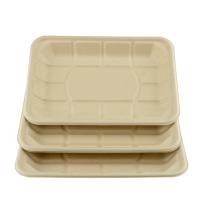 China Sugarcane Bagasse Compostable Paper Food Tray 8*6inch  eco-friendly 100% biodegradable for sale