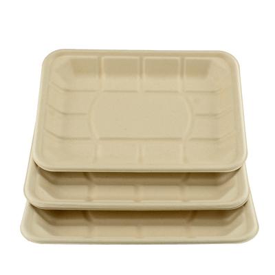 China Sugarcane Bagasse Compostable Paper Food Tray 8*6inch  eco-friendly 100% biodegradable for sale