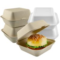 China Food Container Box for Fast Food Hamburg and Takeway Food 6 inch White or Nature Compostable for sale