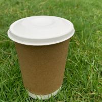 China 100% Fiber Pulp PFAS-Free compostable bagasse molded pulp paper coffee cups lids for sale