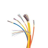 China GJFJV 24 Core Indoor Optical Fiber Cable Bundle Optic Distribution Cable 10mm for sale