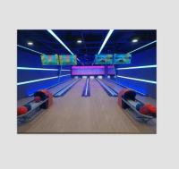 China 65-69kg 14 lbs Applicable Weight Synthetic Lane Scoring for Entertainment Center for sale