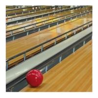 China Grey Bowling Ball Lane Alley Machine with Professional Bowling Bumper and Sport Style for sale