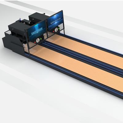 China Endless Fun Portable Bowling Lane Set for Early Education and Outdoor Fitness Exercise for sale