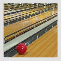 China Fitness Exercise Body Indoor Entertainment Bowling Bumper for Arcade Game Equipment for sale