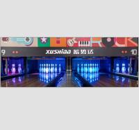 China Professional Directly Supplies Durable 31x1.75 Bowling Games Machine for Amusement Park for sale
