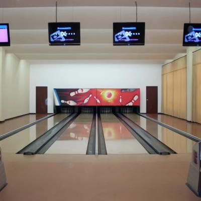 China Bowling Alley Pins Lane Equipment Bowling Machine With Bowling Ball and User-Friendly for sale