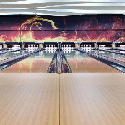China OEM Available Brunswick Bowling Machine For Bodybuilding Fitness for sale