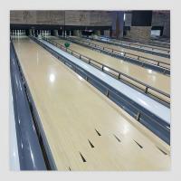 China Grey Bowling Alley Accessories Bowling Alley Bumpers For Indoor Game for sale
