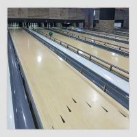 China Accpet OEM Bodybuilding Fitness Bowling Bumper For Brunswick Bowling Equipment for sale