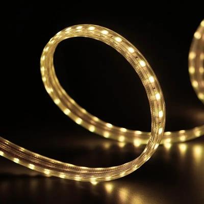 China Waterproof High Voltage Cuttable 50M 100M Roll White Color Rgb Strip Light Manufactured for sale