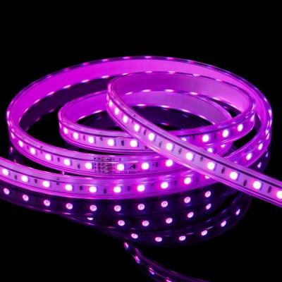 China High Voltage Single Color Waterproof Led Strip Light 50M in Grey for Outdoor Lighting for sale