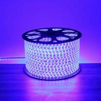 China High Voltage Single Color Waterproof Led Strip Light 50M in Grey for Outdoor Lighting for sale