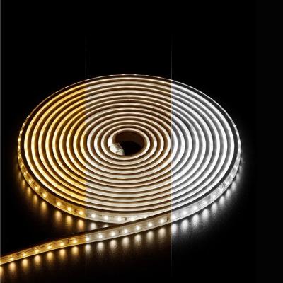 China Waterproof and Durable Smd5050 Rgb Ac 110V 220V Led Rope Light for Building Decoration for sale