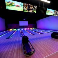 China Automatic String Pinsetter Metal Bowling Alley Machine for 60-64kg Weight and Amusement for sale