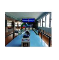 China Indoor Fitness Mini Bowling Games For Adults Or Kids 12m Bowling Fairway for sale