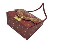 China Custom Printed Christmas Gift Shopping Bags - Paper/Kraft Material Options 120g-250g with 3000pcs MOQ for sale
