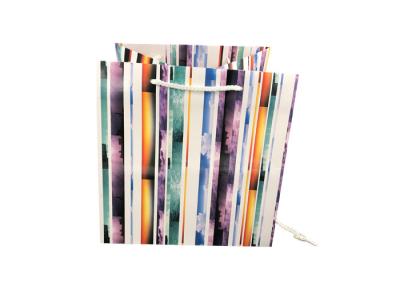 China Elegant Foldable Printed Promotional Paper Bags Customized Logo Printing for sale