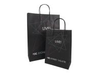 China Custom Biodegradable Paper Packaging Bags 80g-350g with Twist Handles for Food & Retail Applications for sale