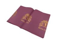 China Custom Printed Garment Tissue Paper Packaging - 17-157gsm Weight, 20×30 Inch Sheets, Full Color Printing for sale