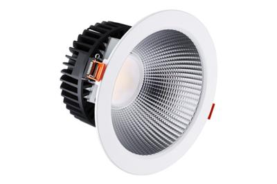 China 8 Inch 14w 25w 35w COB Led Down Light Dali Dimmable  IP44 for sale