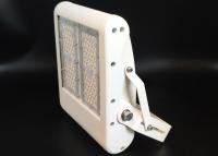 China White Housing IP67 LED Flood Light Industrial 100W High Power Tunnel Light for sale
