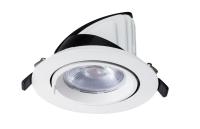 China IP20 30W LED Scoop Down Lights With 2700K- 5000K Dimmable LED Down Lights for sale