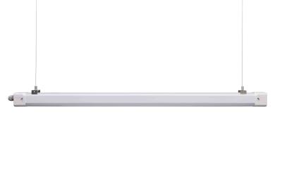 China Polycarbonate Housing LED Tri Proof Light For Indoor Outdoor 100-277VAC IP65 Rated for sale