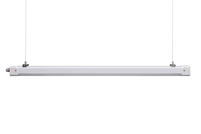 China Versatile IP66 LED Tri Proof Light For Indoor And Outdoor Lighting Solutions for sale