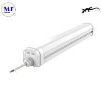 China 10W-50W 2-5FT LED Tri Proof Light With IP66 CCT Power Switch For Car Washes Store Subway Station for sale