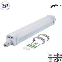 China 10W-50W 2-5FT LED Tri Proof Light With IP66 CCT Power Switch For Car Washes Store Subway Station for sale