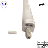 China 10W-50W 2FT 4FT 5FT LED Tri Proof Light With IP66 Waterproof CCT Power Switch For Underground Tunnel Passageway for sale