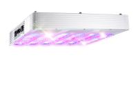 China Full Cycle 630 Watt LED Grow Panel Light For Seedling / Growing / Blooming / Fruiting for sale