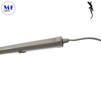 China Energy Saving 50W LED Tri-Proof Light Small Size IP66 with Wide Beam Angle and High Luminous Efficiency for sale